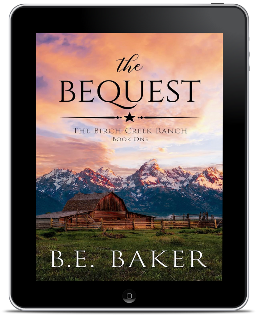 The Bequest – Bridget E. Baker Books